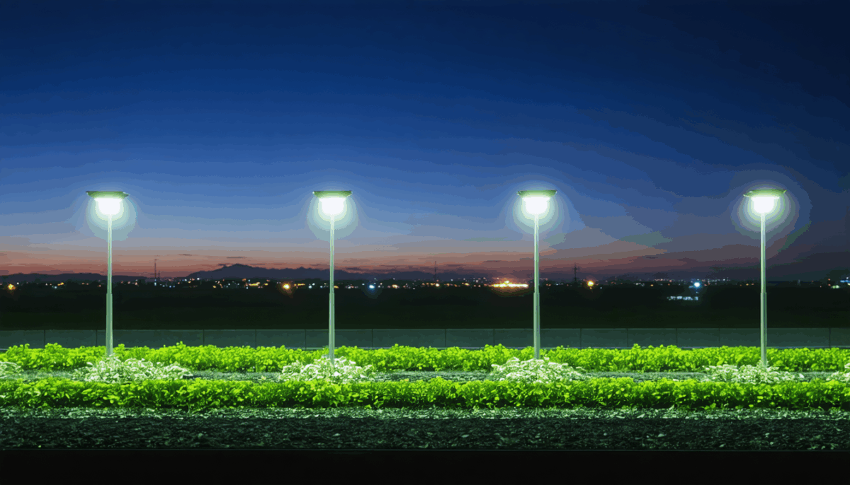 Néons LED : un choix vraiment écologique